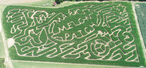 Locally Grown Fruits & Vegetables from Mark's Melon Patch near Albany ...